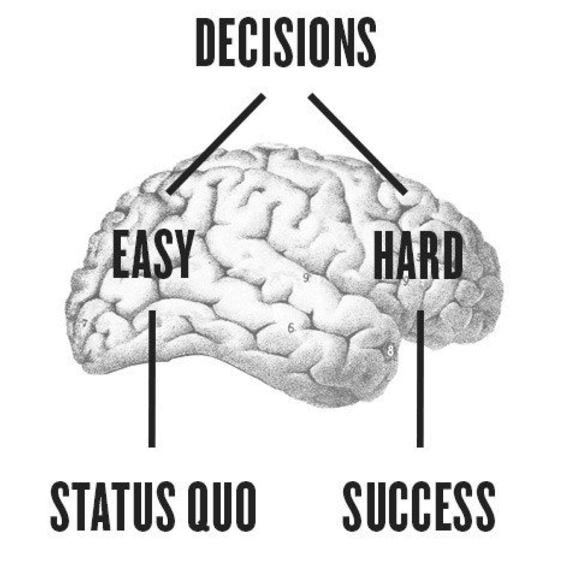 Avoiding Hard Decisions Is Preventing You From Looking Better